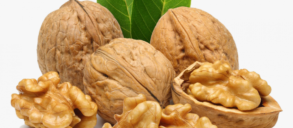 investing in Turkey, Fully Managed Walnut Farmland Projects in Turkey ...